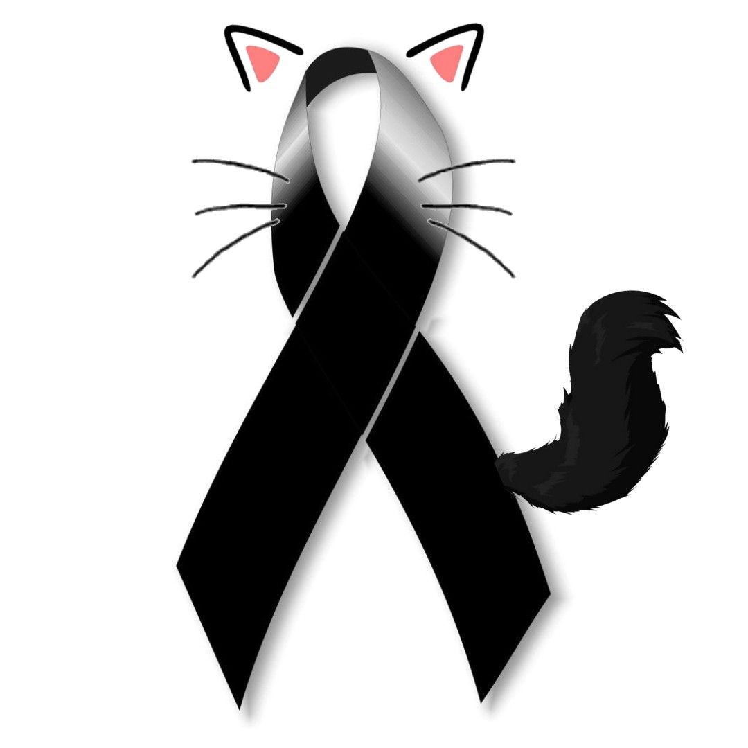 El luto por nuestras mascotas y como ayudar a los dueños durante el ...